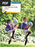 Wonders 2023 Grade K Scope and Sequence | PDF | Phonics | Word