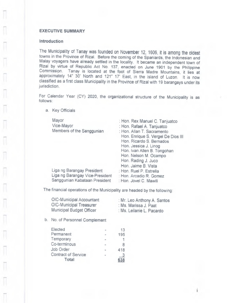 Tanay Executive Summary 2020 | PDF | Expense | Inventory