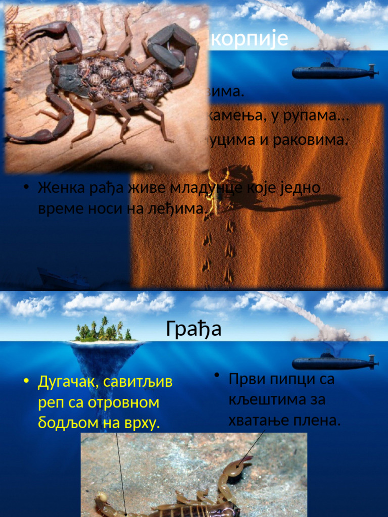 Beskicmenjaci Priprema | PDF