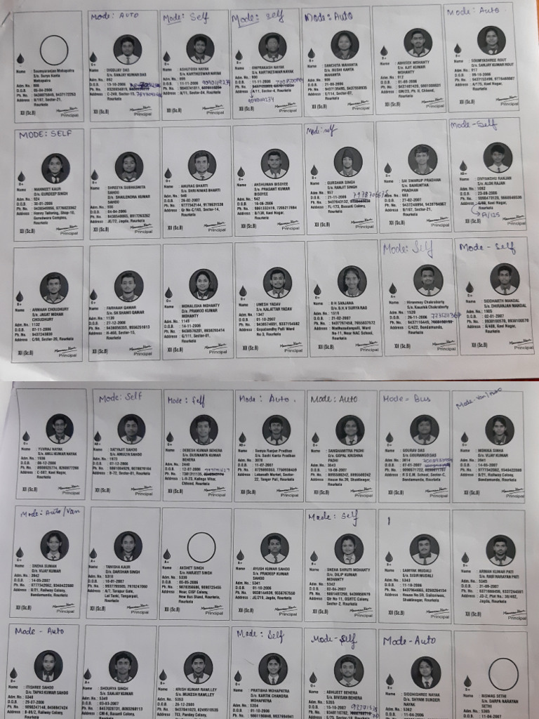 Identity Cards Data Sheet | PDF