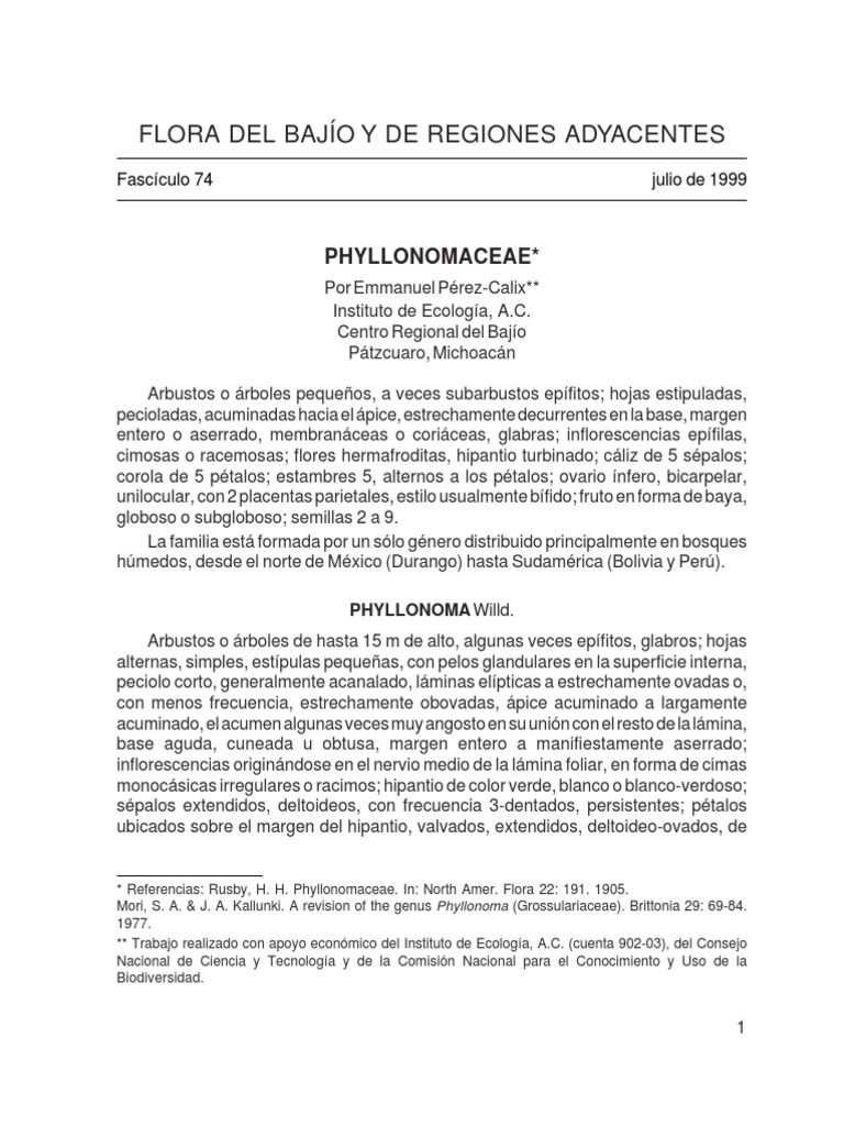 74 Phyllonomaceae | PDF | Hoja | Fruta