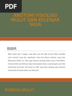 Struktur dan Fungsi Anatomi Mulut | PDF