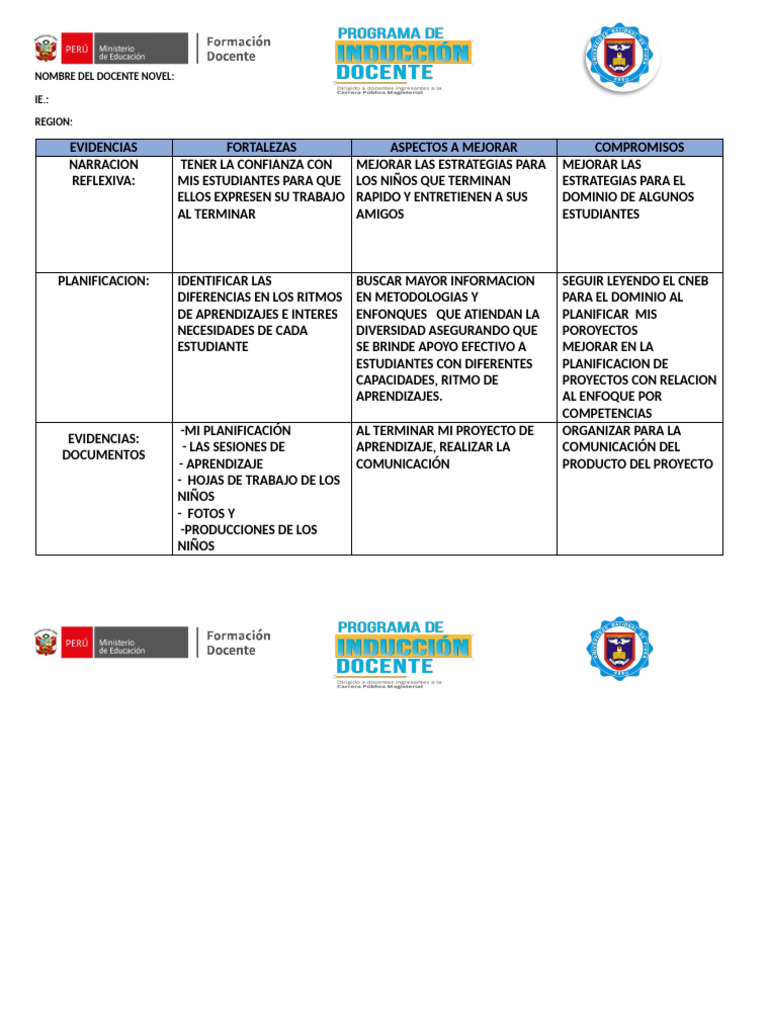 Cuadro de Evidencias Documental Mentora Lerc | PDF