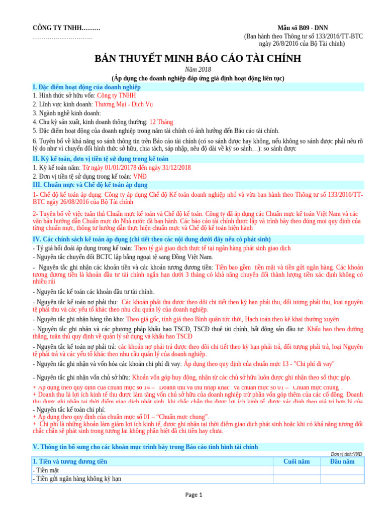 Thuyet Minh BCTC Thong Tu 133 | PDF