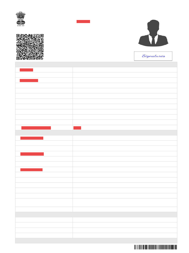 OCI Sample Form With Common Errors | PDF | Nation | Social Institutions
