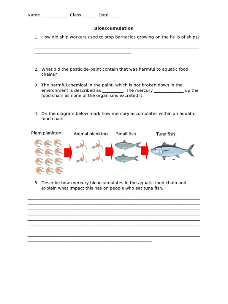 Bioaccumulation Mercury Worksheet | PDF