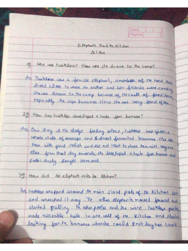 English-Elephant Raid The Kitchen | PDF