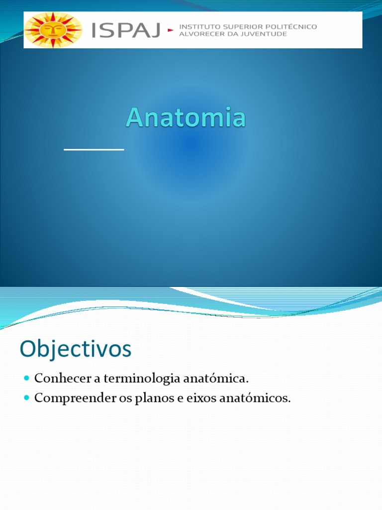 Anatomia Meinha | PDF | Anatomia | Corpo humano