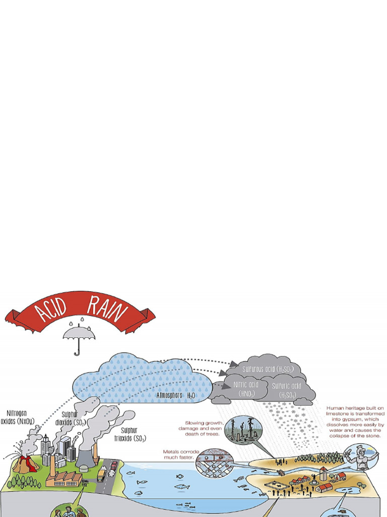 Acid Rain: Causes and Environmental Impact | PDF | N Ox | Soil