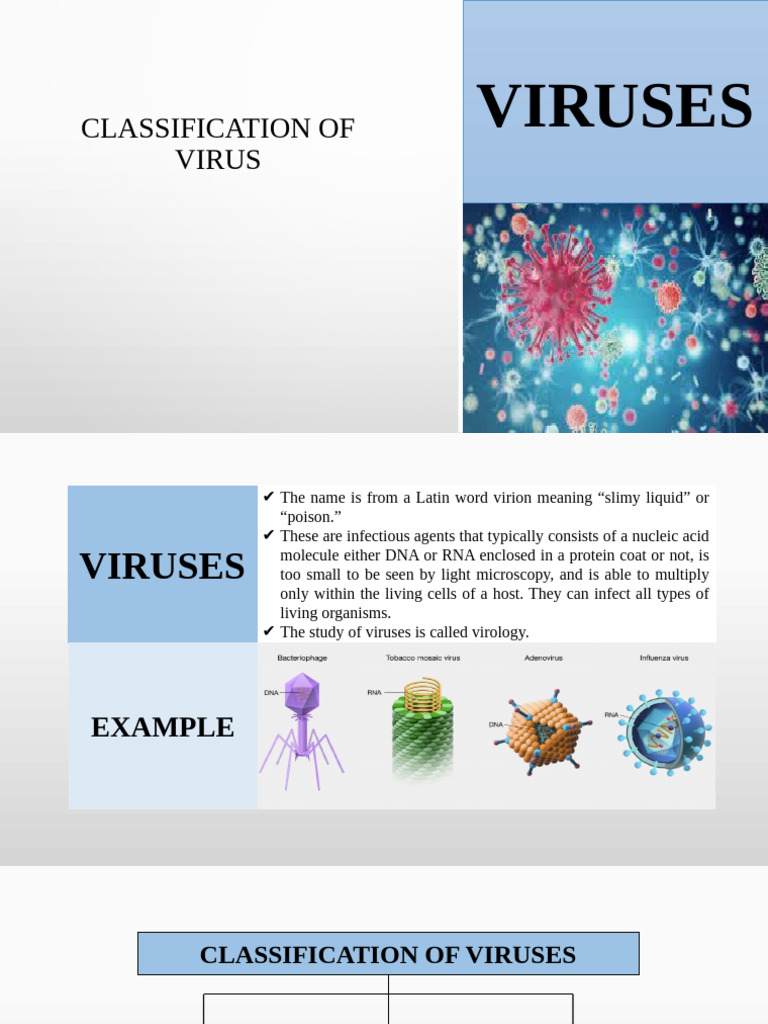 Classification of Virus | PDF | Virus | Hepatitis B