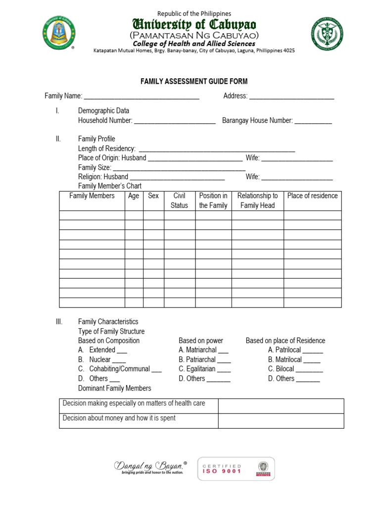 Family Assessment Guide Form | PDF | Lifestyle