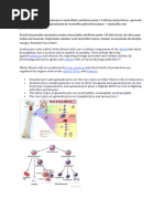 Thunders - Place-Clamping 101 - The Clamping Guide | PDF | Testicle ...