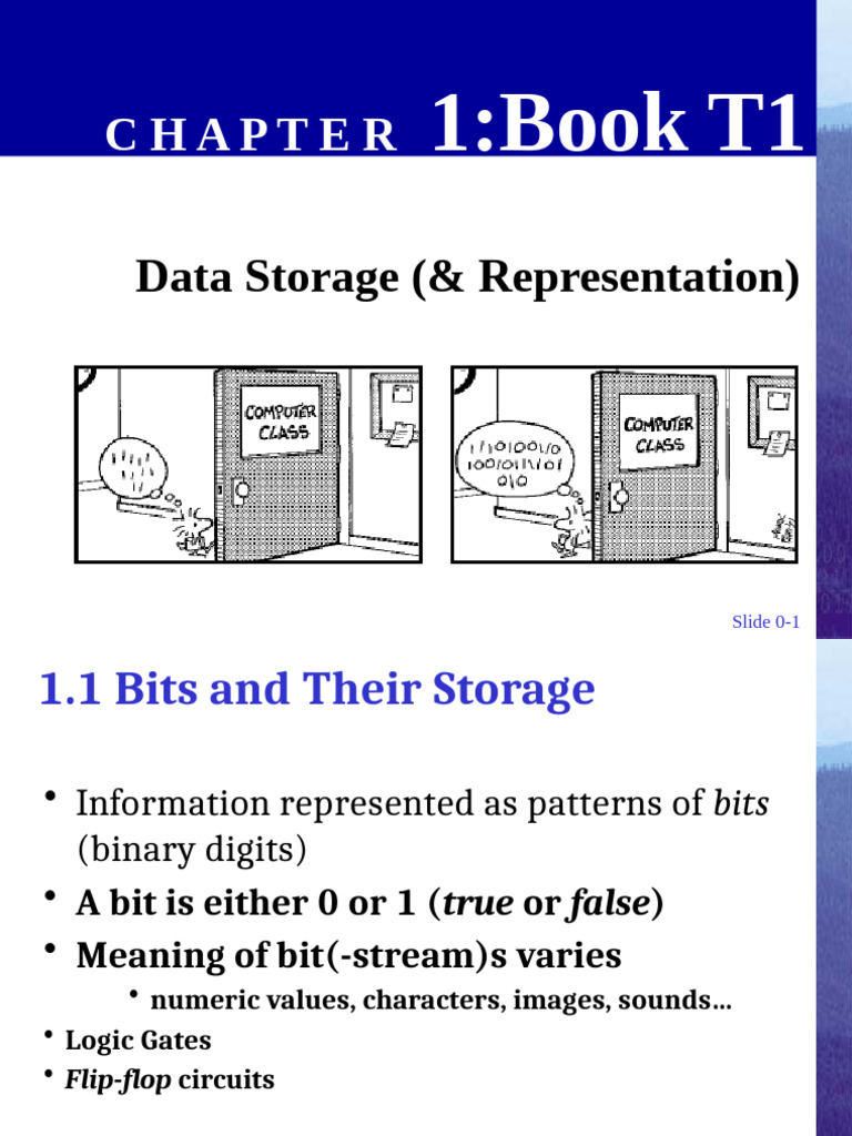 DOC-20241018-WA0001 | PDF | Computer Data Storage | Disk Storage