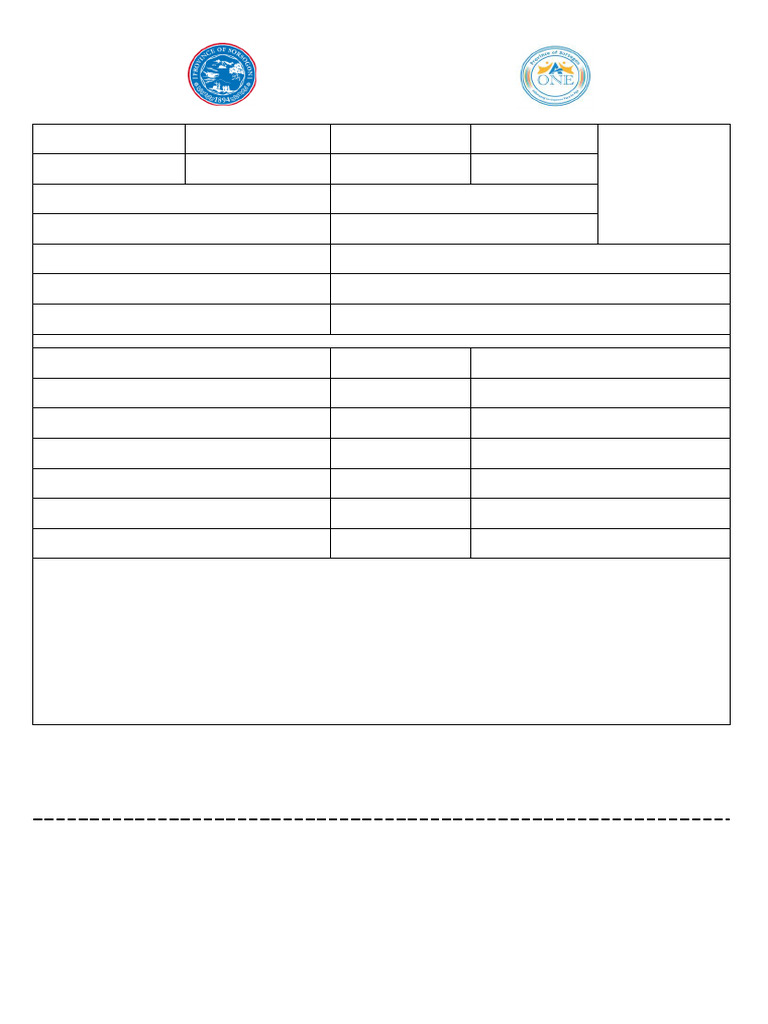 A-One Youth Program Application Form 2024 | PDF