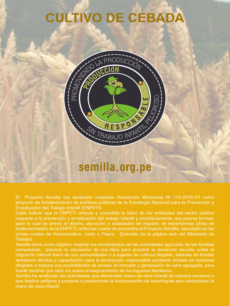 Cultivo de Cebada | PDF | Agricultura | Siembra
