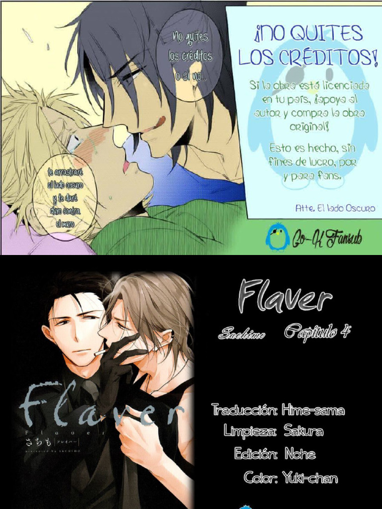 Flaver 4 | PDF