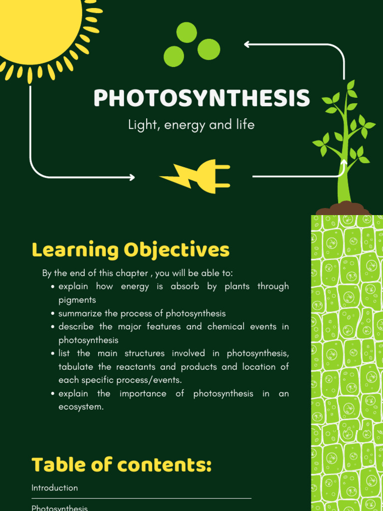 BIO_compressed | PDF | Photosynthesis | Chlorophyll