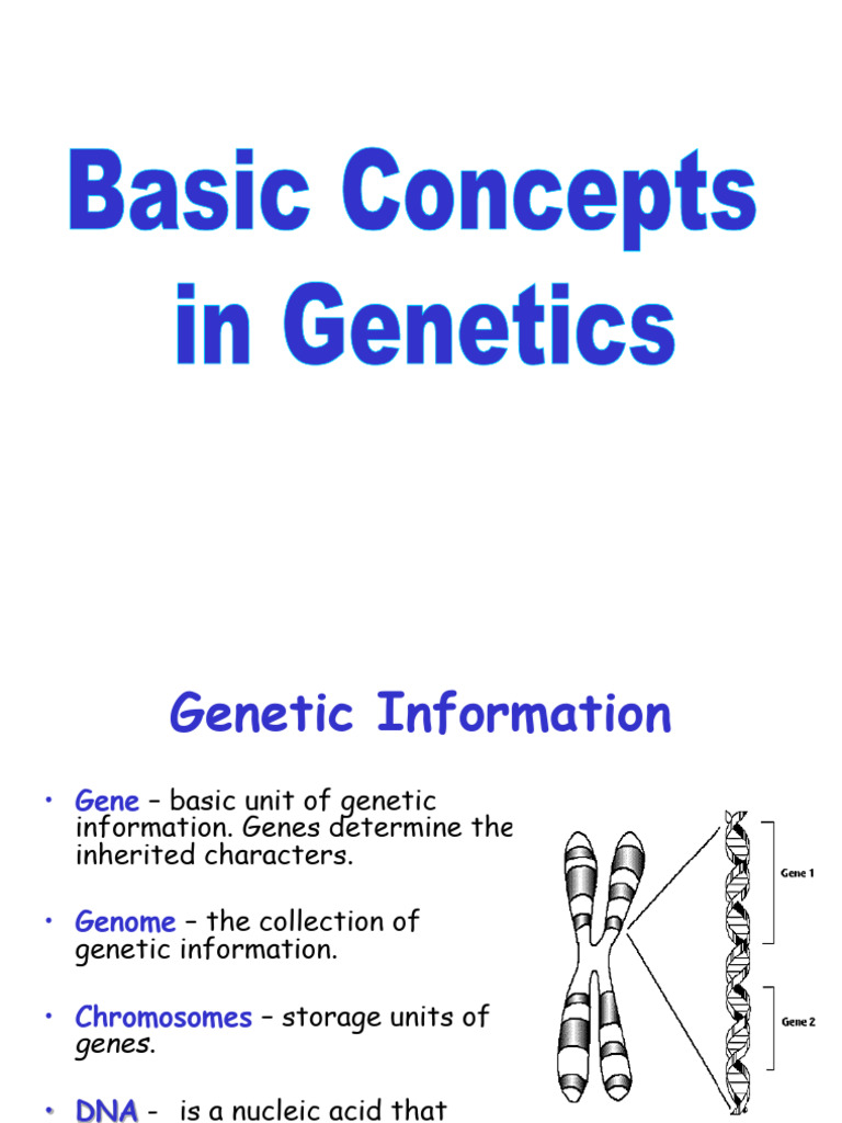 Genetics Basics: Genes, Inheritance, and Disorders | PDF | Dominance ...