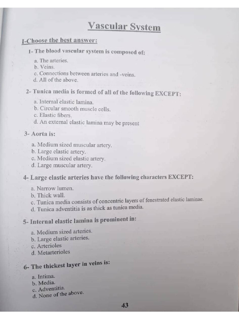 CVS Kafr Elsheikh MCQ | PDF