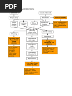 Pathway Patofisiologi Asma Bronkial | PDF