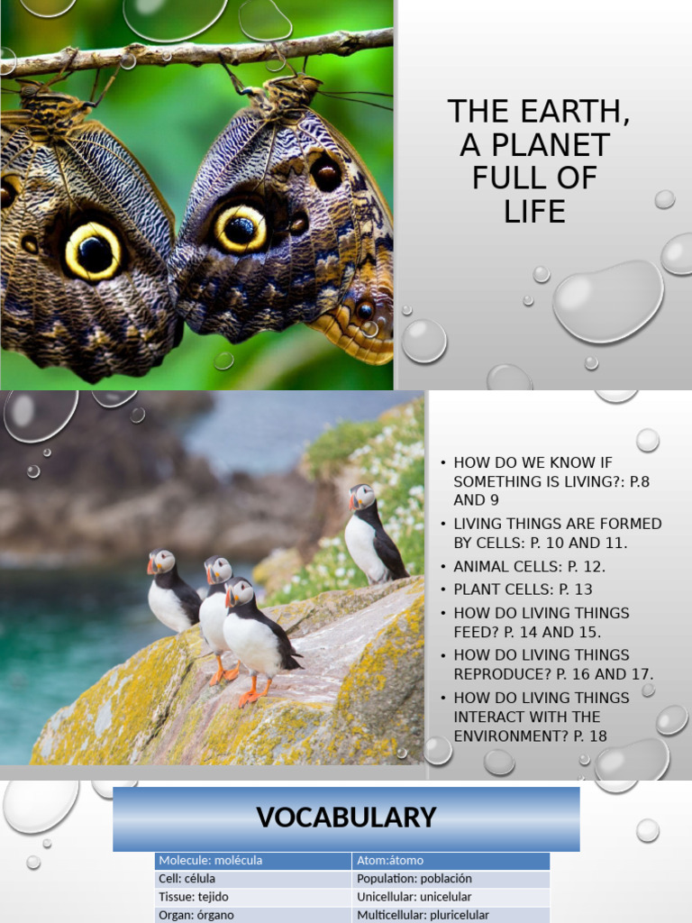 Understanding Life on Earth: Cells & Functions | PDF | Cell (Biology ...
