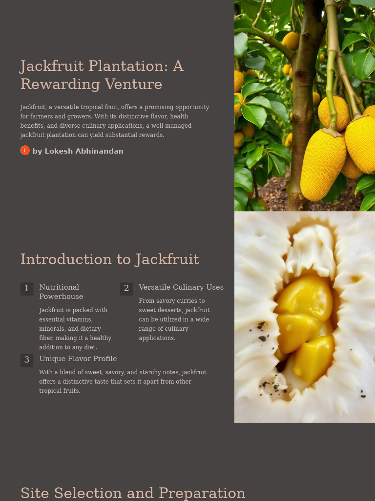 Jackfruit Plantation A Rewarding Venture | PDF | Soil | Trees