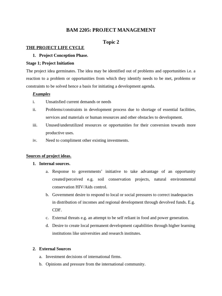 The Project Life Cycle | PDF | Feasibility Study | Project Management