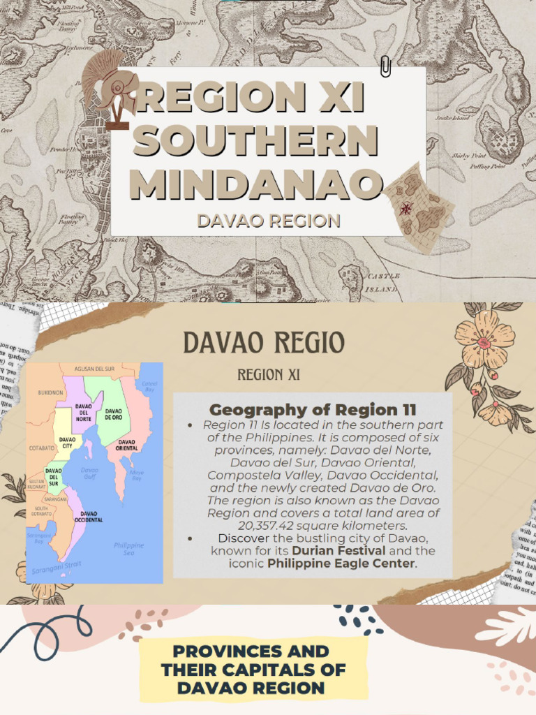 REGION-11 | PDF