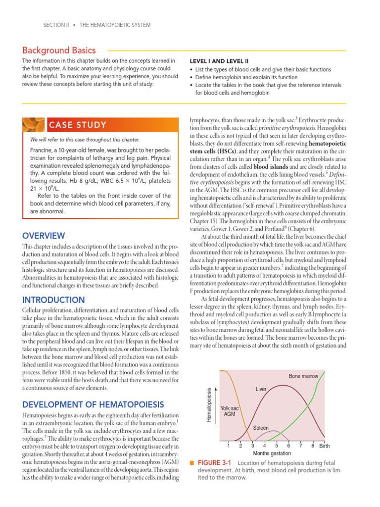 Bone Marrow | PDF | Haematopoiesis | Bone Marrow