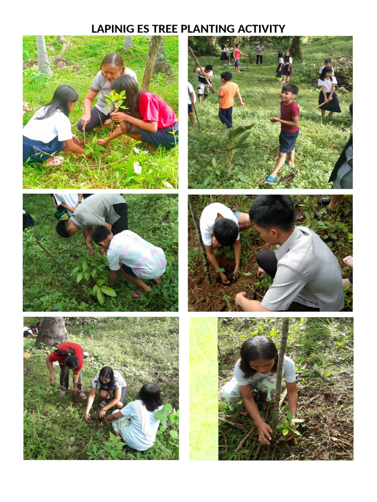 Lapinig Es Tree Planting Activity | PDF