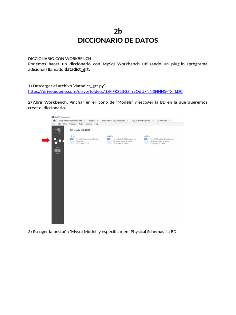 2b_DICCIONARIO DE DATOS_Diccionario con Workbench | PDF
