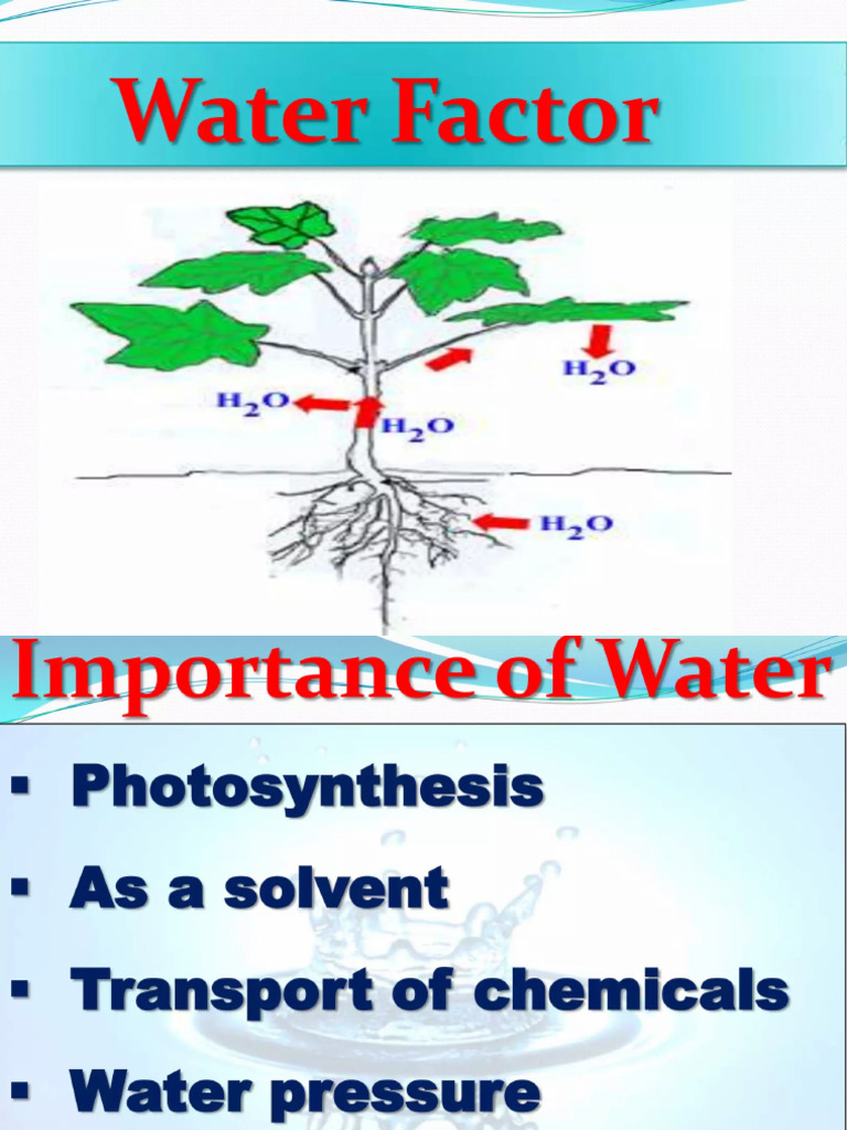 Water Factor Insights | PDF