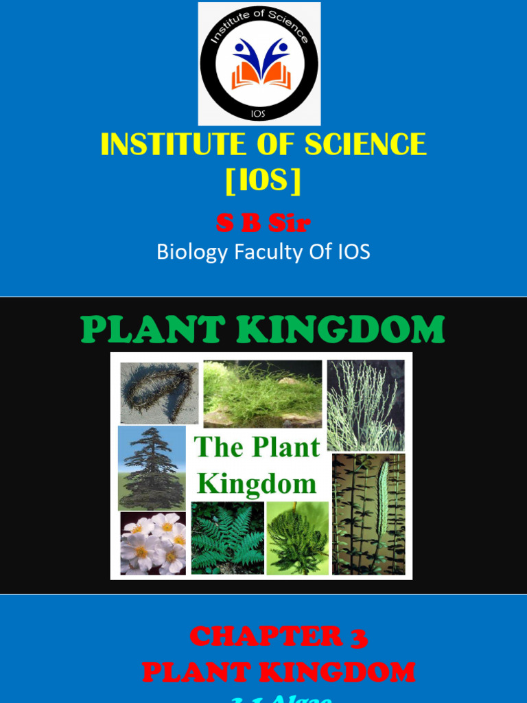 Plant Kingdom Chapter 03 | PDF | Moss | Spore