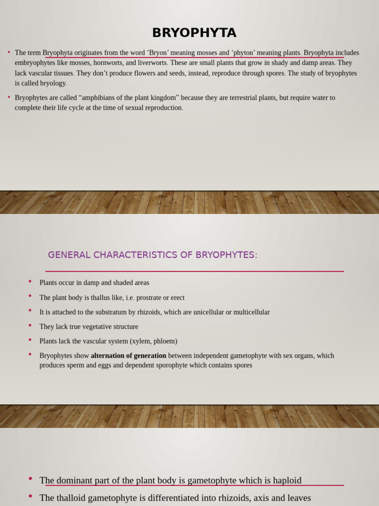 BRYOPHYTA | PDF | Moss | Sexual Reproduction