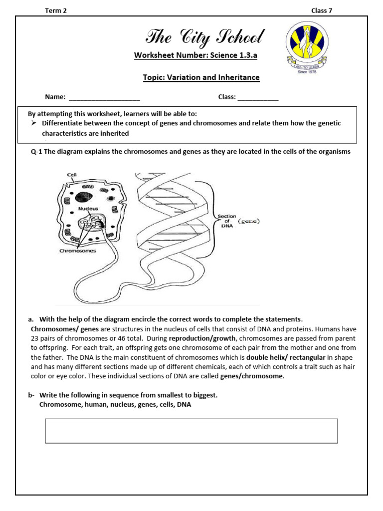 Worksheet 1.3.a | PDF | Science & Mathematics | Technology & Engineering