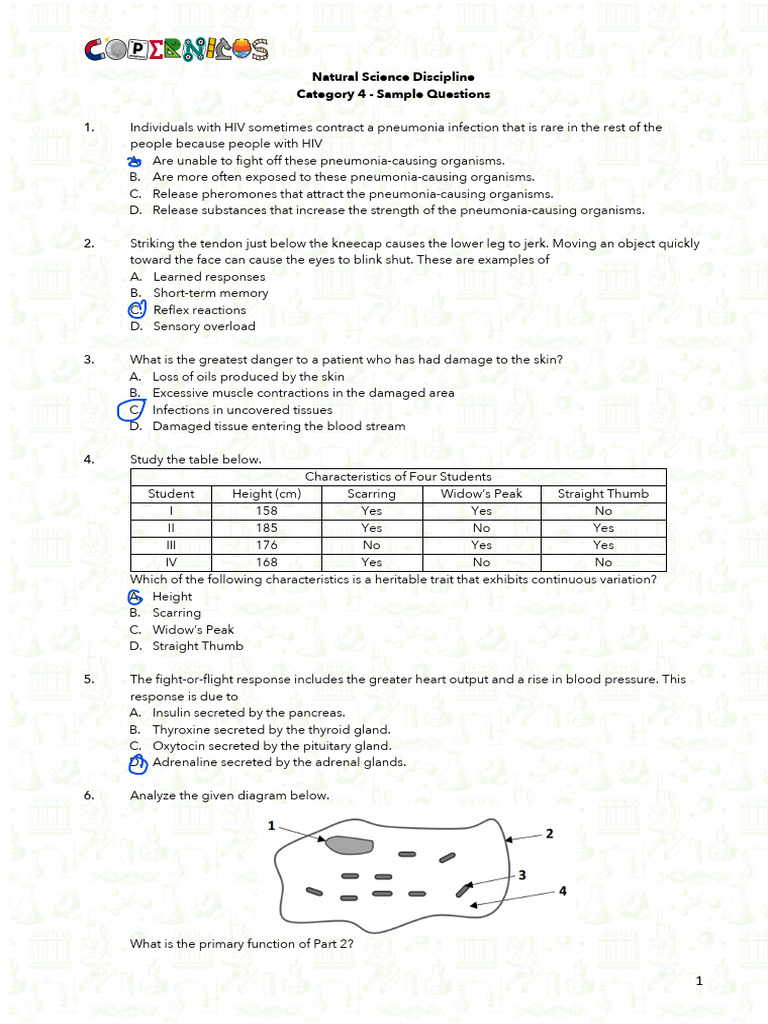 Natural Science Category 4 Sample Questions | PDF | Stars | Lung