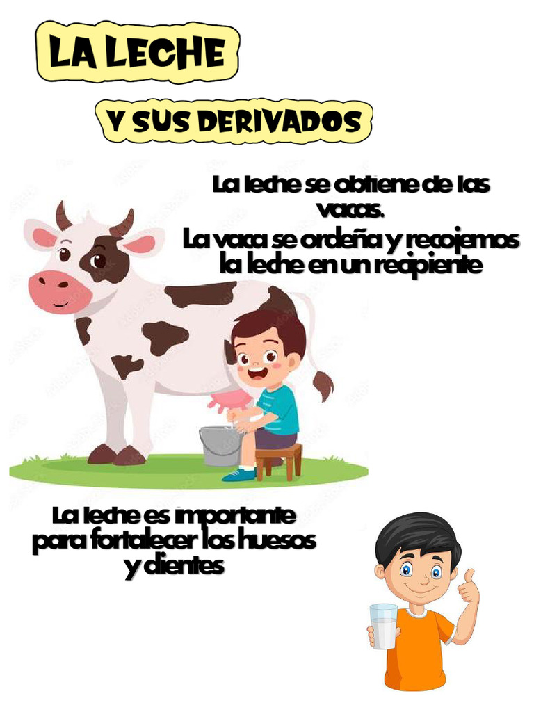 La Leche Se Obtiene de Las Vacas. La Vaca Se Ordeña y Recojemos La ...