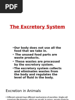 Module Excretory System | PDF | Human Body | Excretion