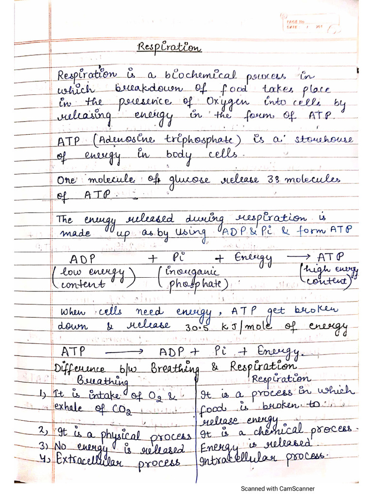 Respiration Class 10th | PDF