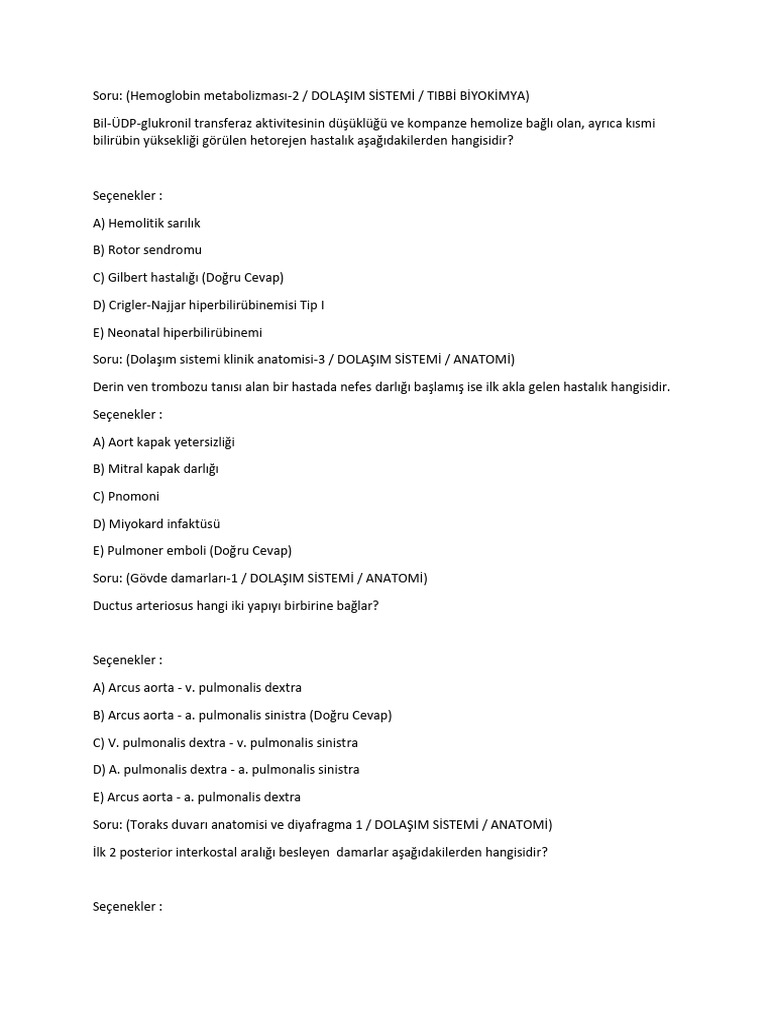 Kurul Bu Sene 2 | PDF