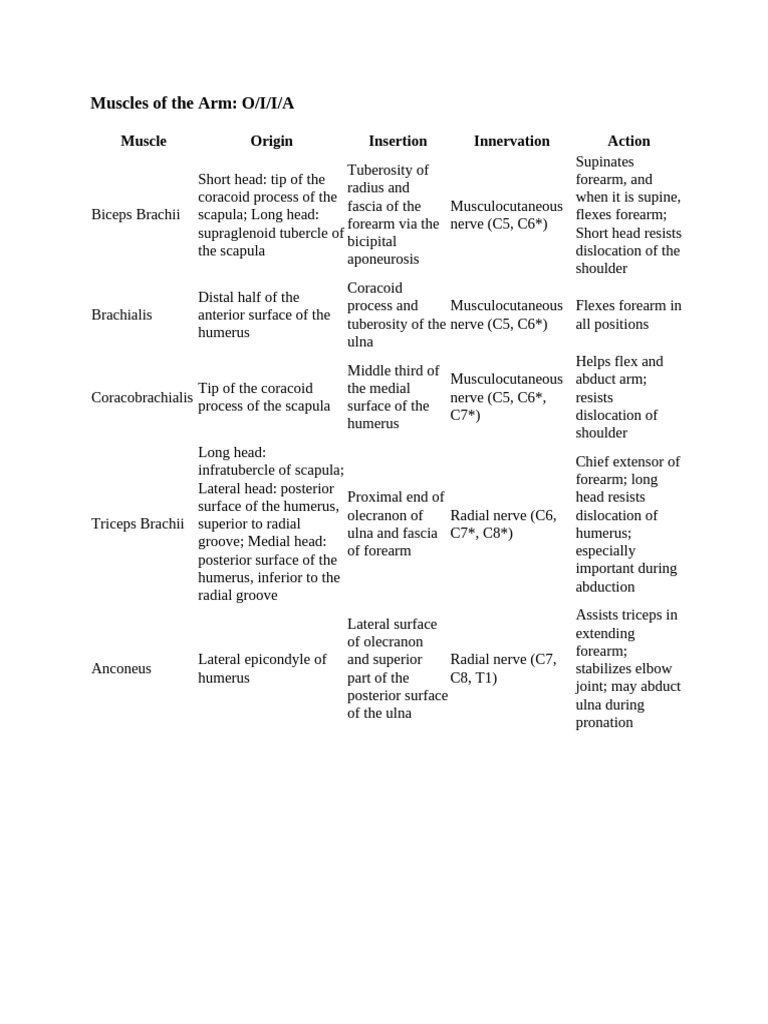 Muscles of The Arm | PDF | Arm | Anatomical Terms Of Motion