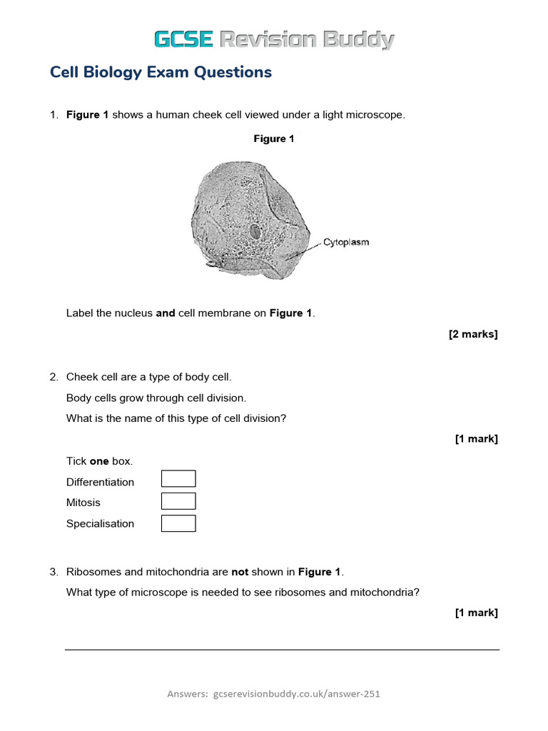 Cell Biology Exam Questions Guide | PDF | Science & Mathematics ...