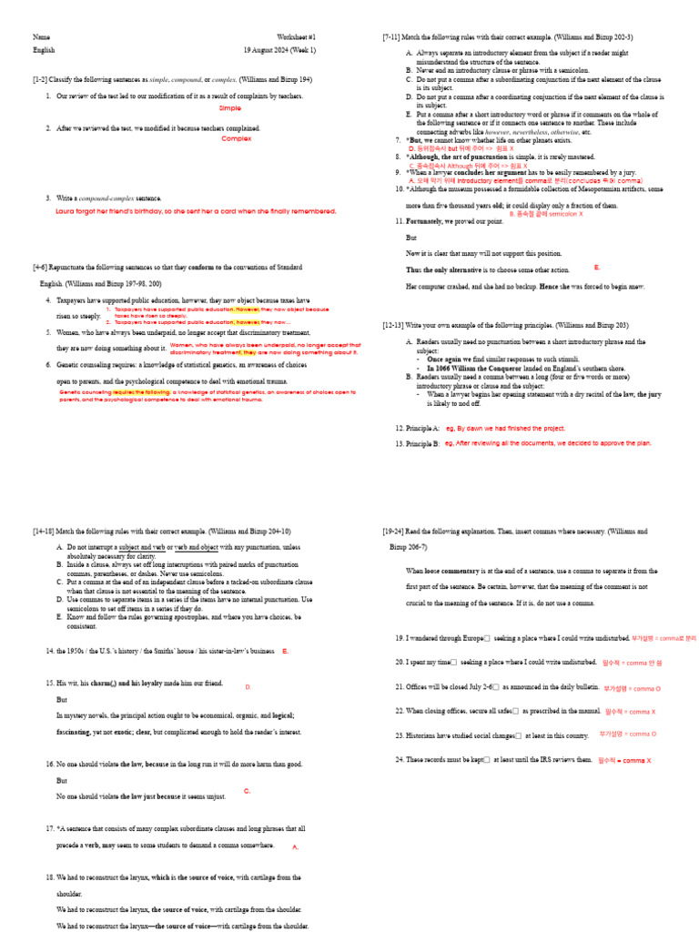 English Grammar and Punctuation Worksheet | PDF | Comma | Grammar