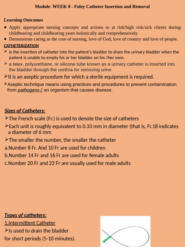 Foley Catheter Insertion Guide | PDF
