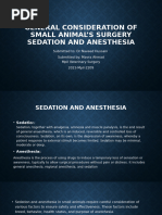 CSU Canine Acute Pain Scale Guide | PDF | Pain | Diseases And Disorders
