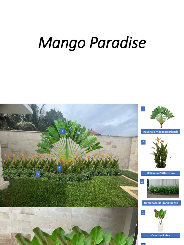 Mango Paradise | PDF