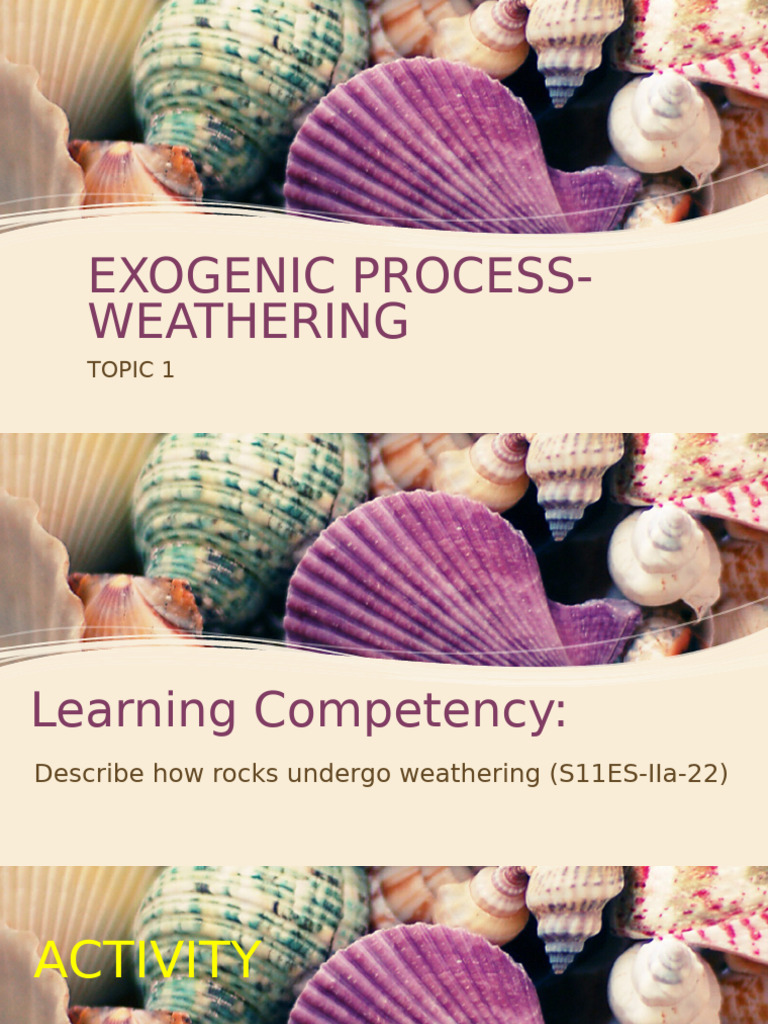 Exogenic Process - Weathering | PDF