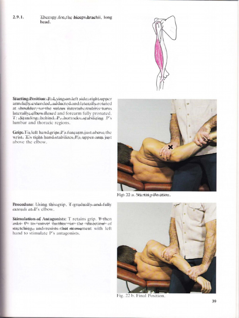 MUSCLE STRETCHING 2[040-093] | PDF