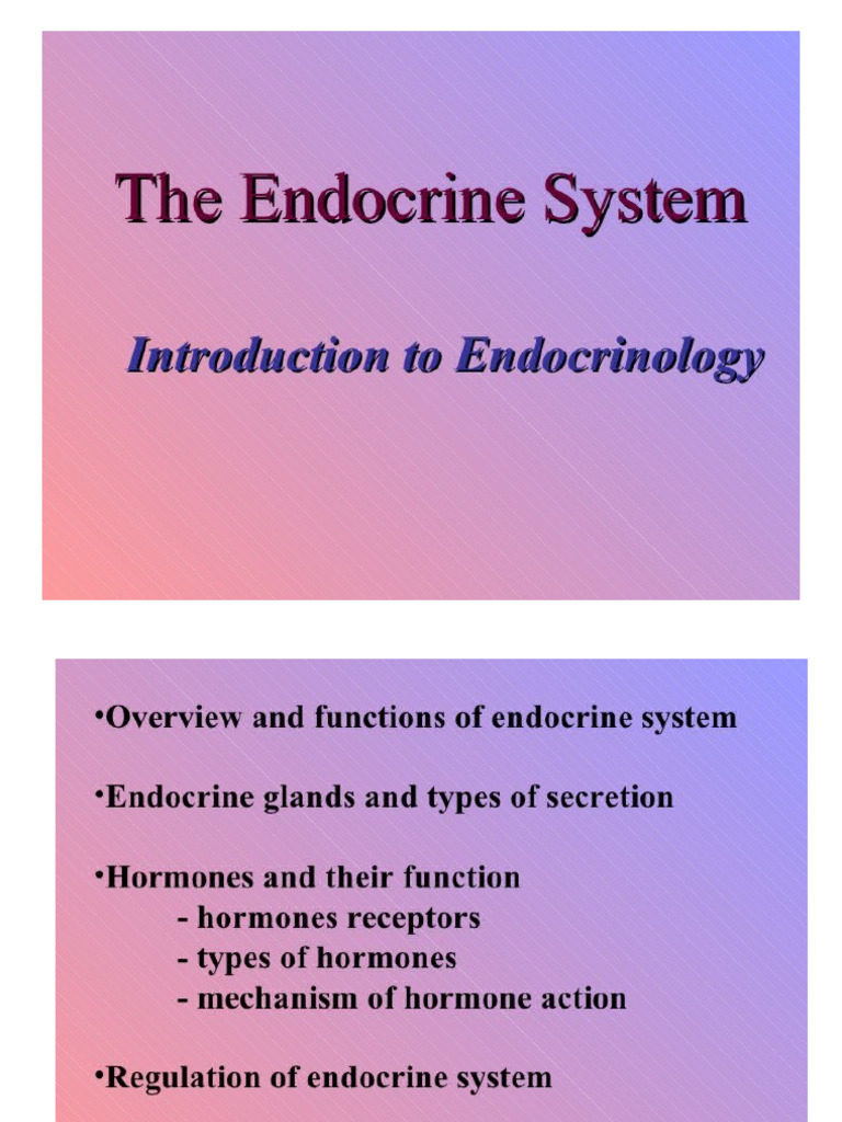 Endocrinology Introduction 1 | PDF