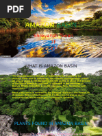 Ava'S - Amazon Rainforest Brochure | PDF | Amazon Rainforest | Trees